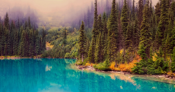 A Guide to Choosing the Right Water Mat for Your Lake – watermats